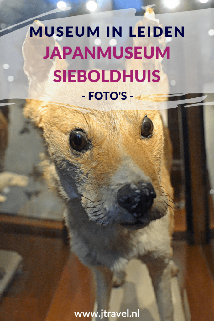 Foto's van het Japanmuseum Sieboldhuis in Leiden | JTravel