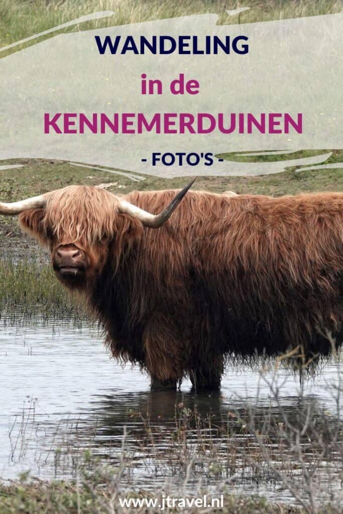 Foto's van mijn wandeling in de Kennemerduinen | JTravel